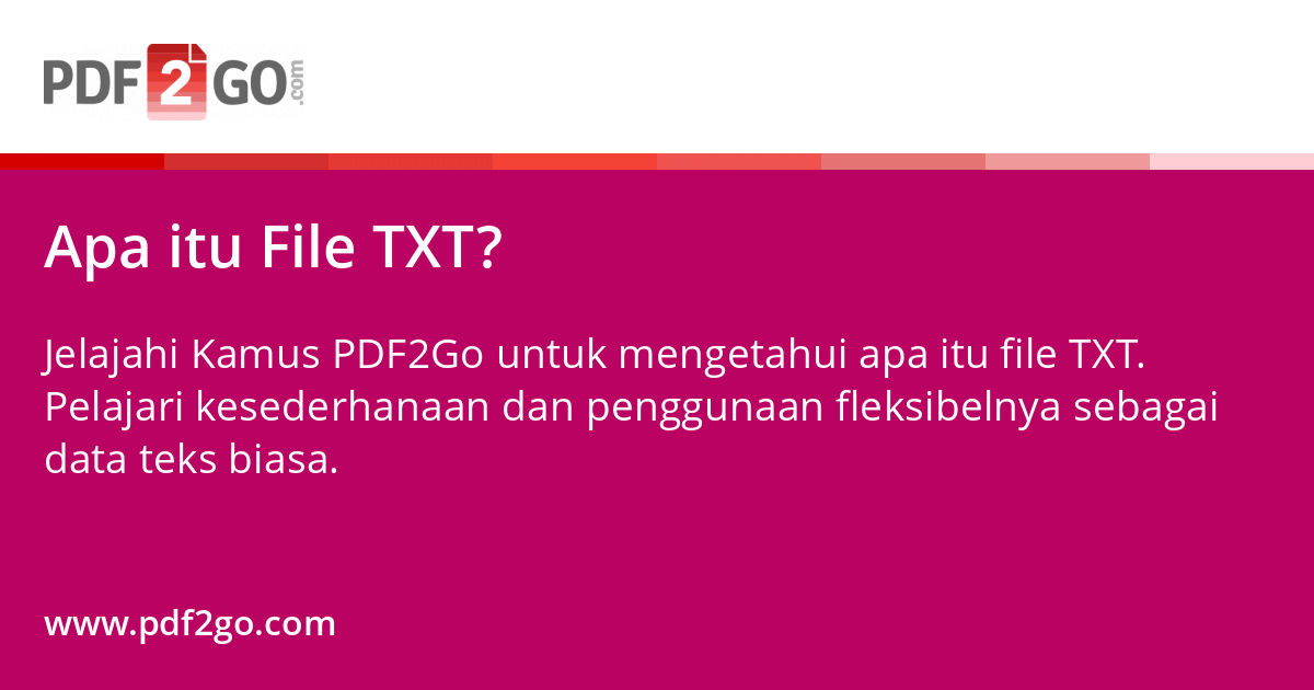 Apa itu File TXT?