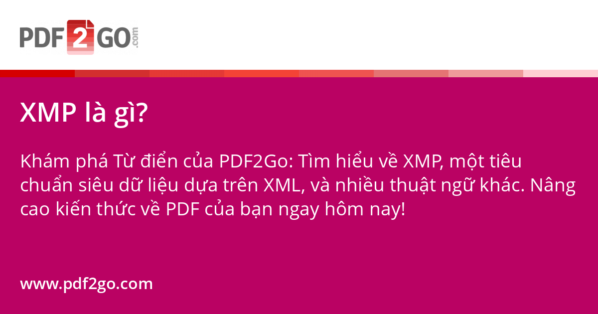 XMP là gì?