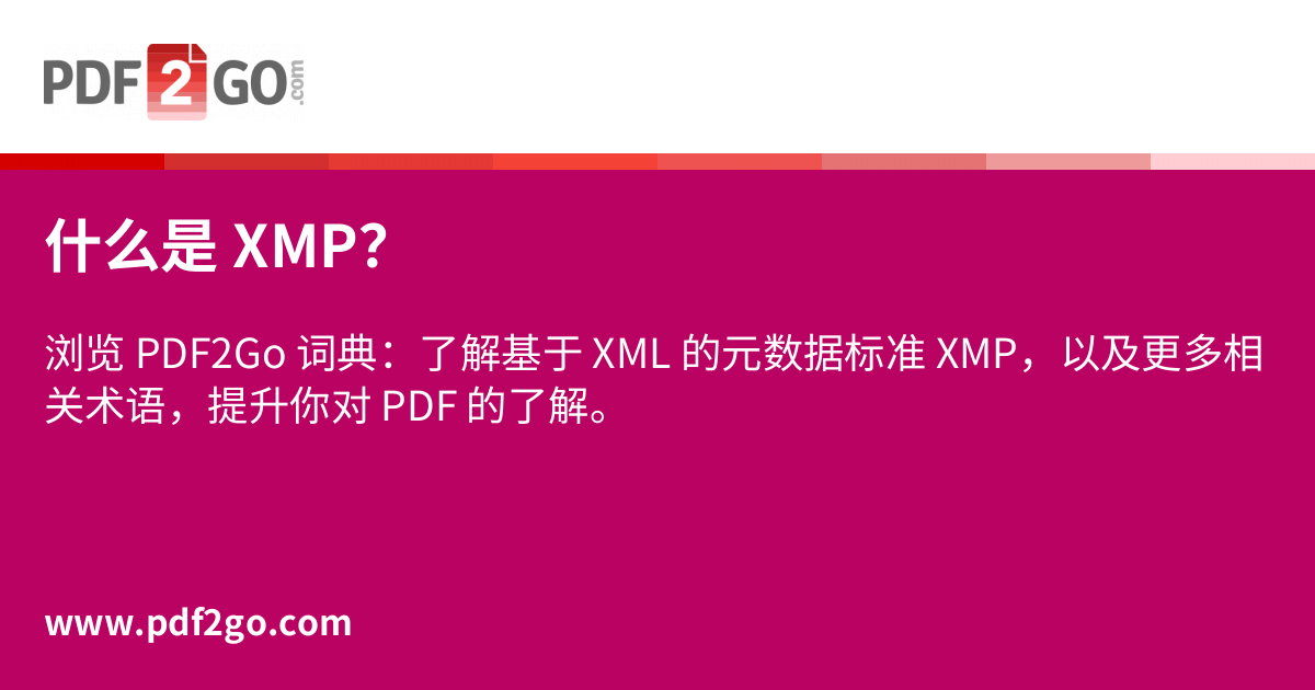 什么是 XMP？